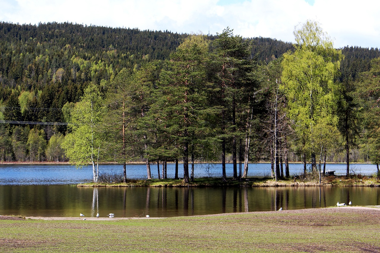The Best Places for Hiking in Oslo - True Scandinavia