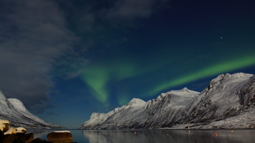 Can you See the Northern Lights in the Norwegian Fjords? - True Scandinavia